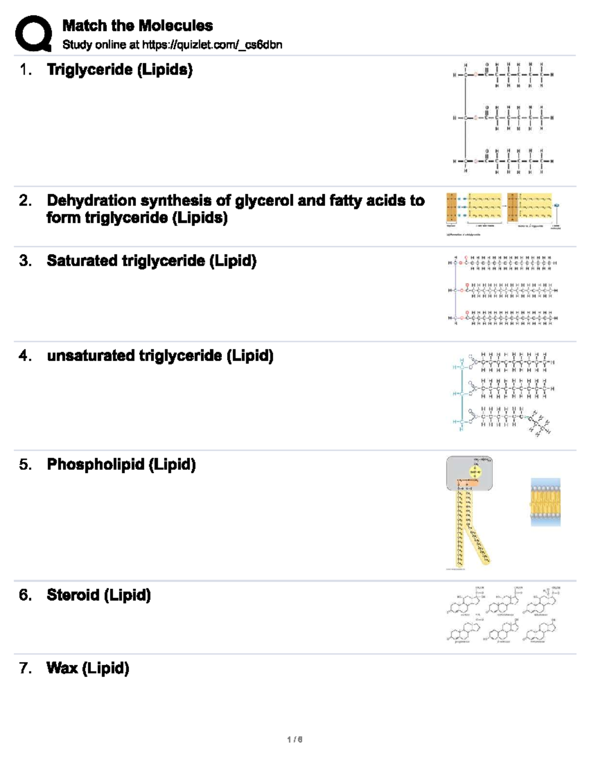 Practice - matching biological molecules - Q Match the Molecules Study ...