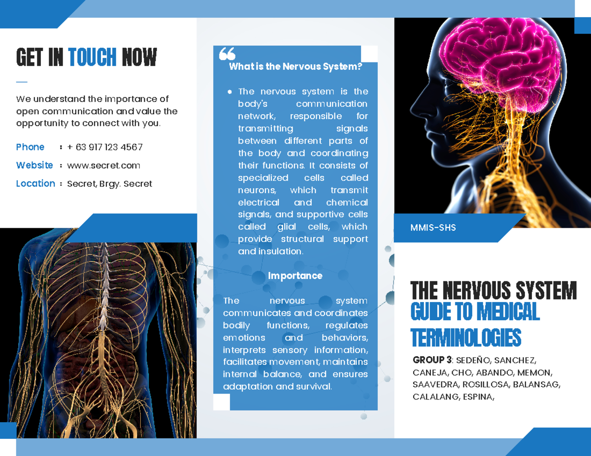 Nervous-system-Printed-Handouts 2 - What is the Nervous System? The ...