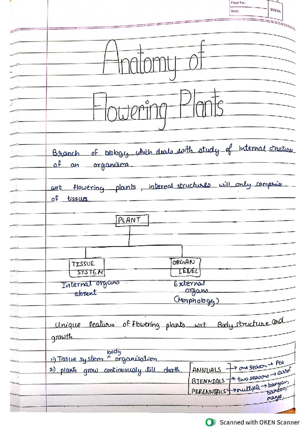 Anatomy of Towering Plants: Class Notes (Course Code: YOUVA) - Studocu