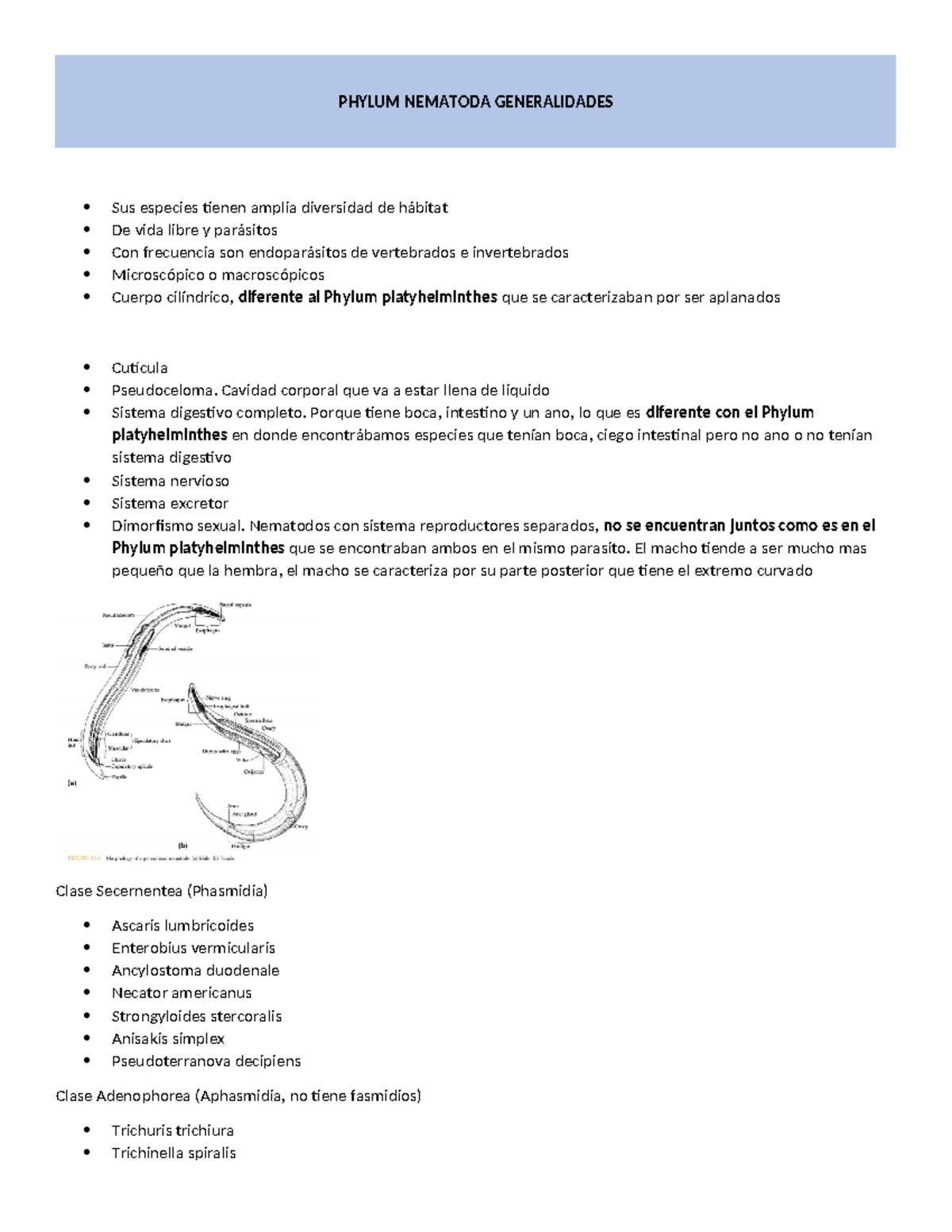Generalidades del Phylum Nematoda: Estructura y Ciclo de Vida - Studocu