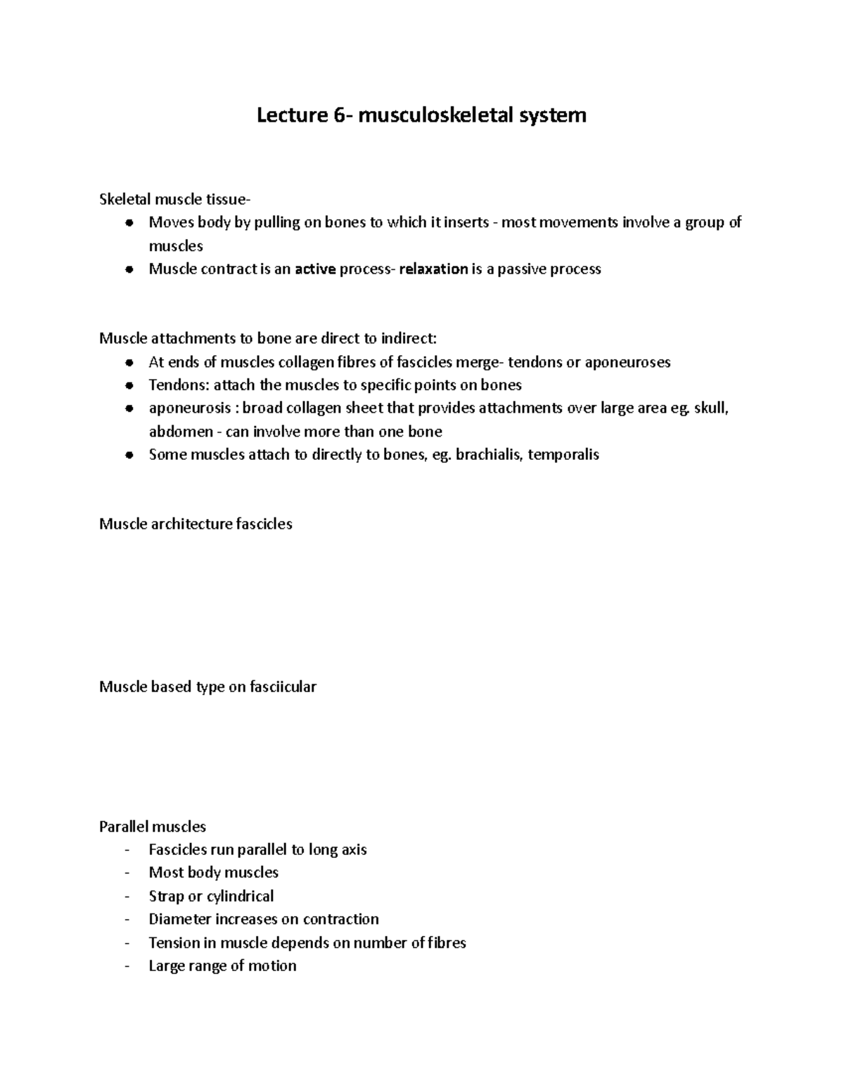Lecture Notes on Musculoskeletal System (BIO 101) - Studocu