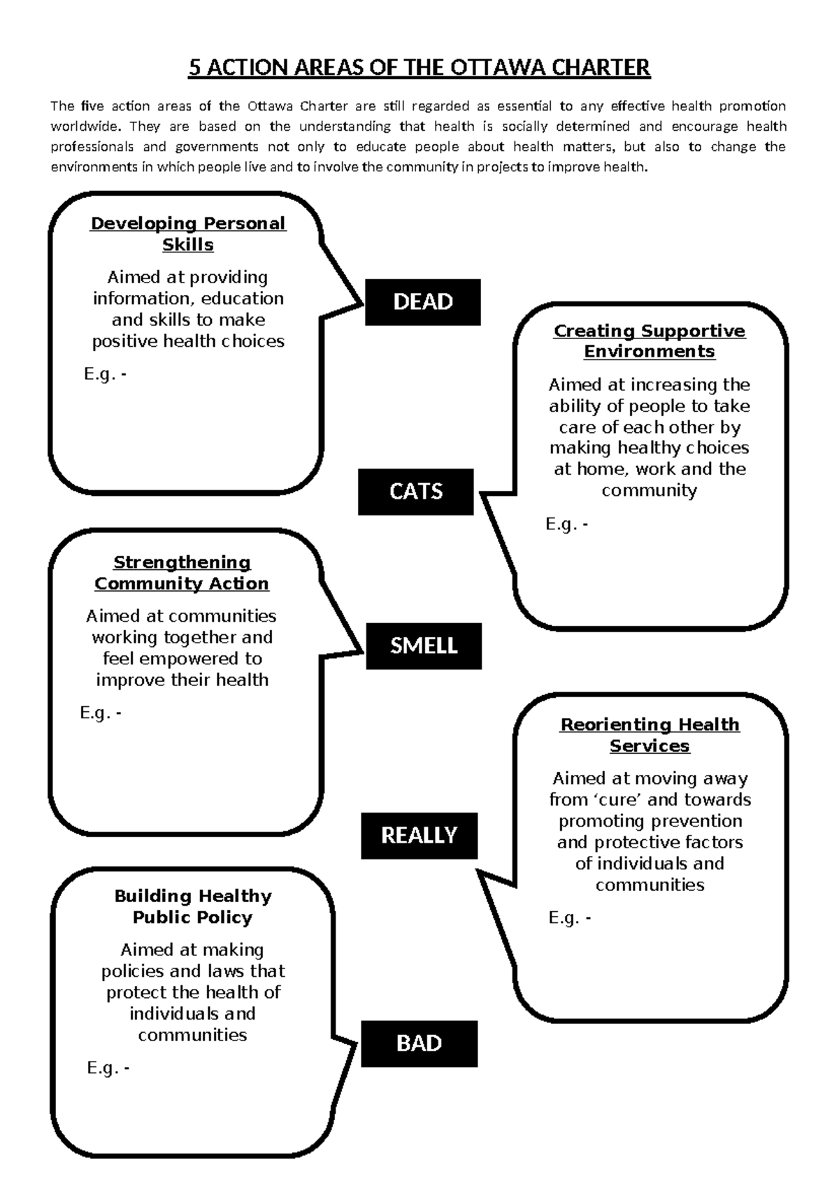 Ottawa Charter Action Areas: Key Health Promotion Strategies - Studocu