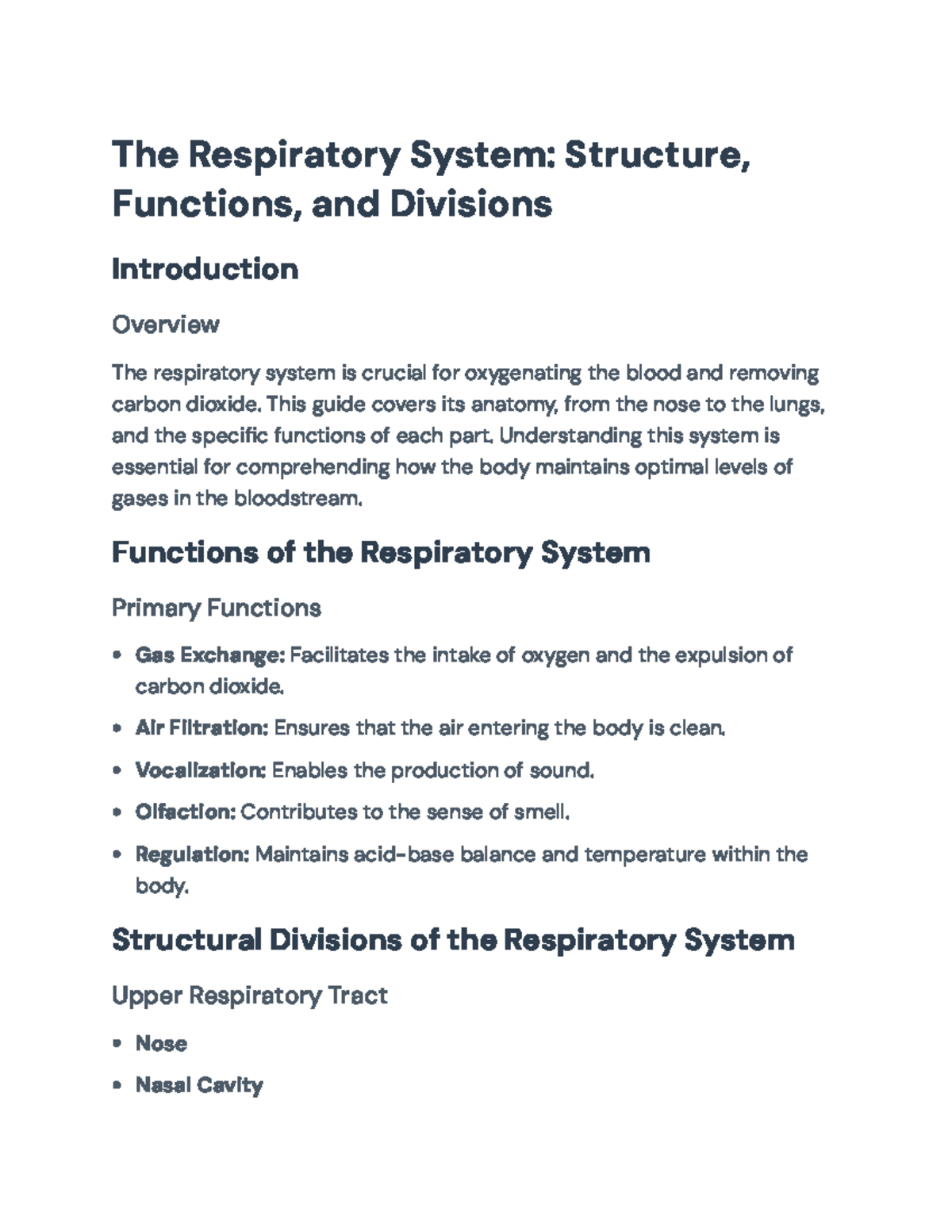 Comprehensive Guide to the Respiratory System: Anatomy & Functions ...