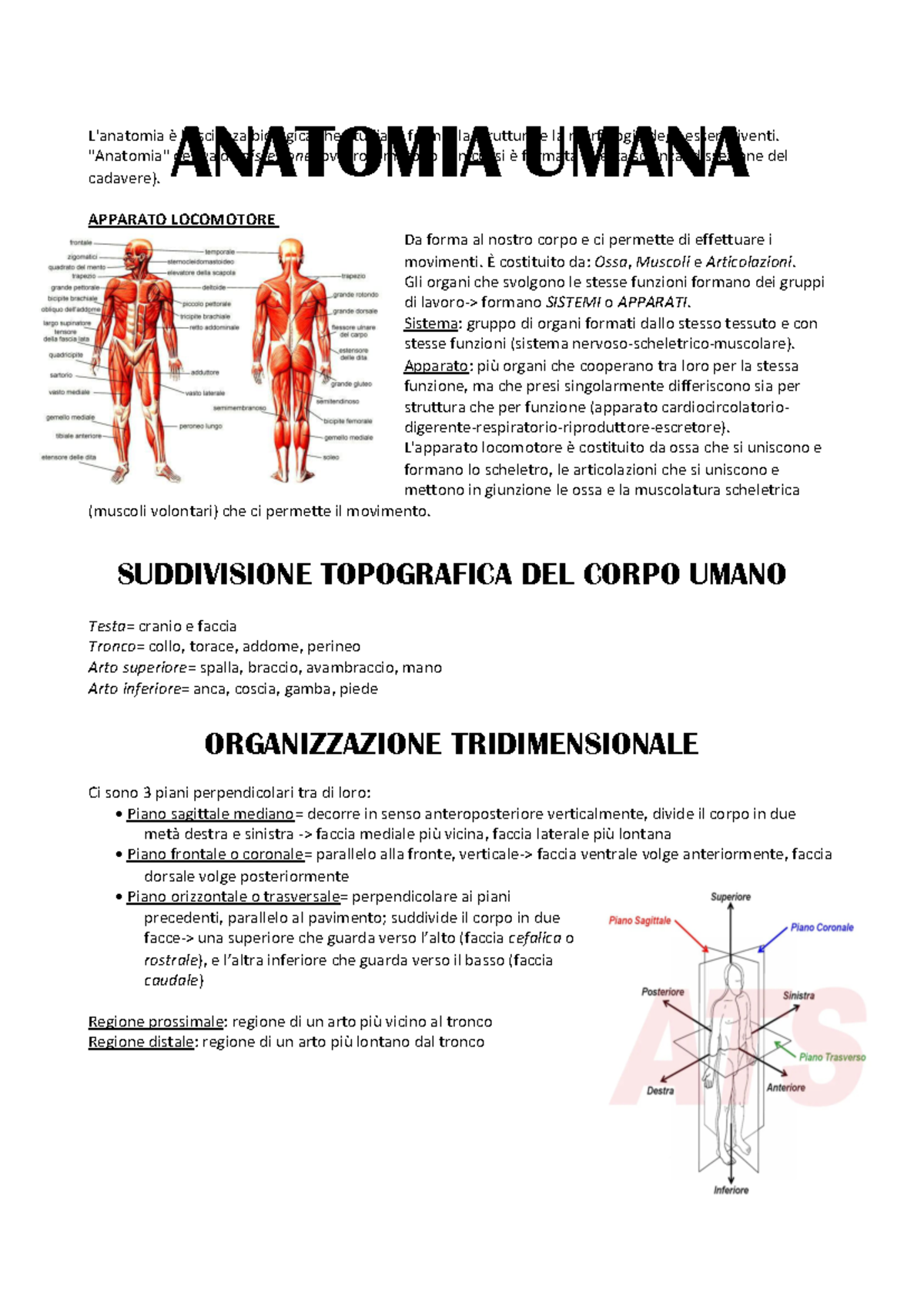 Anatomia-1 - Appunti esami anatomia e fisiologia - L'anatomia è la ...
