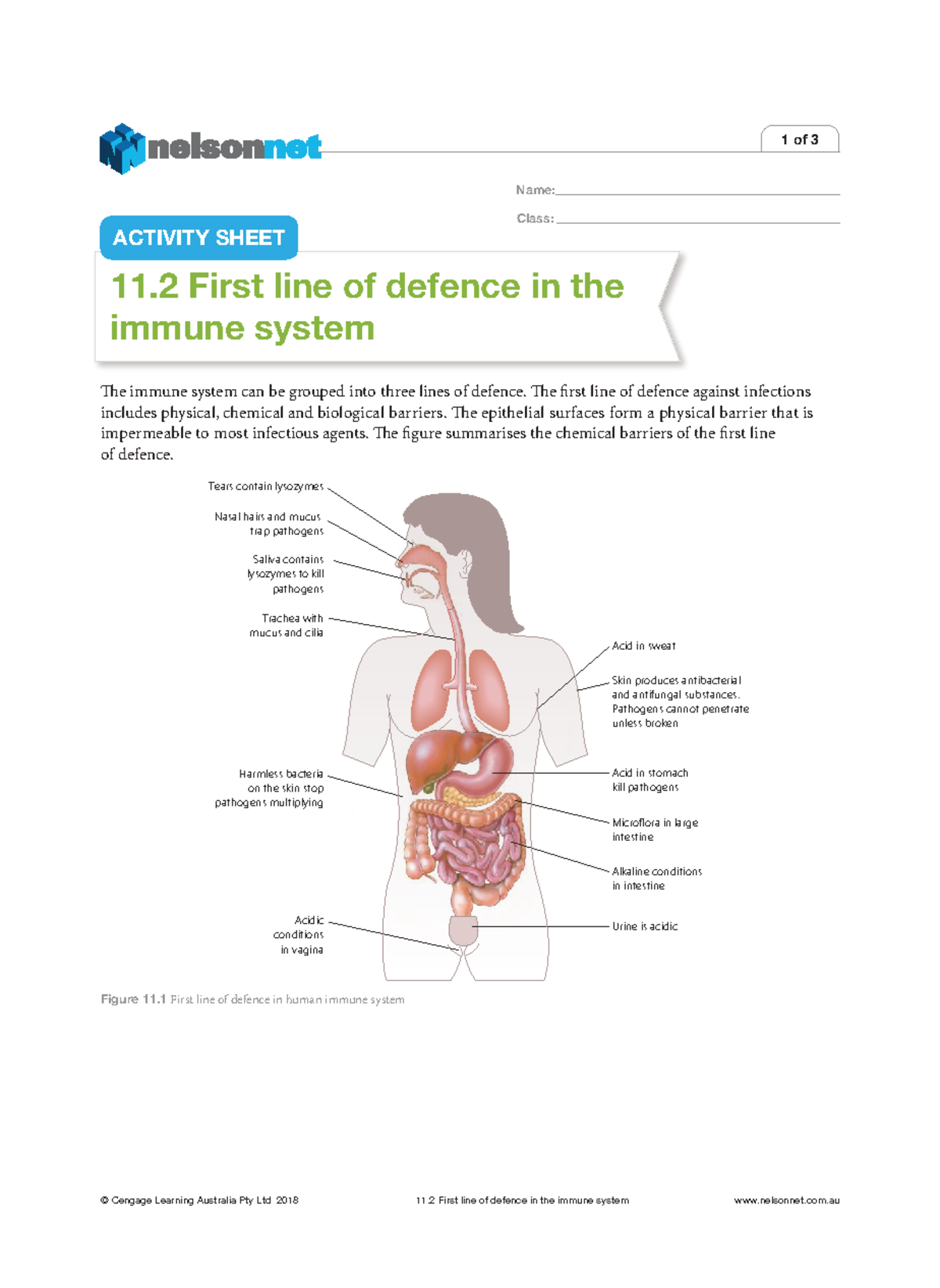 11.2 Final Exam Notes: First Line of Defence in Immune System - Studocu
