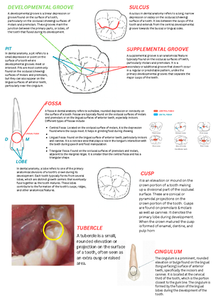 2M - Intrapartal Complications - INEFFECTIVE UTERINE FORCE abnormal ...