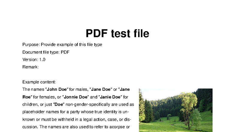 Example of PDF File Usage and Placeholder Names - Studocu