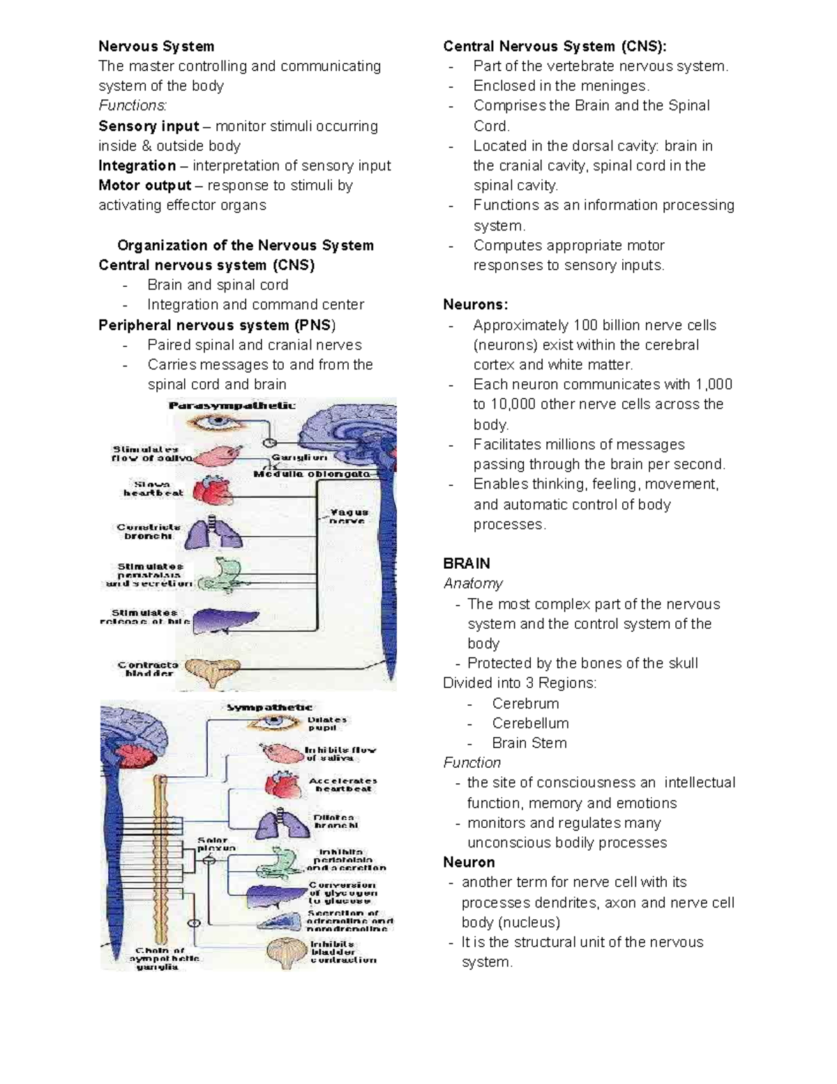 Nervous System Overview - Neurology - CNS Functions and Anatomy - Studocu