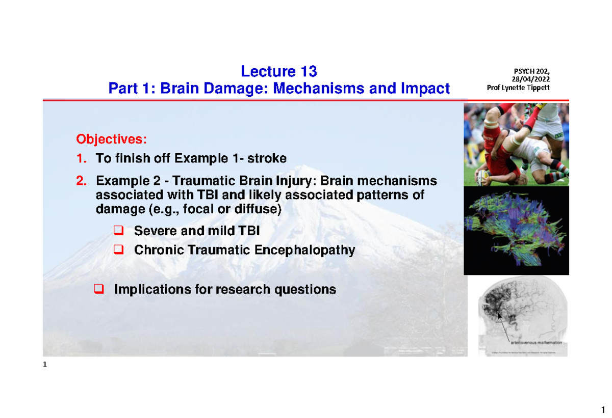 Lecture 13: Mechanisms of Brain Damage in TBI - PSYCH 202 Handout - Studocu