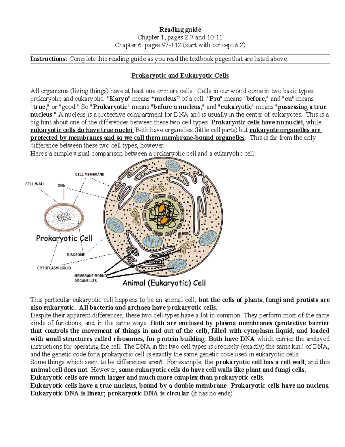 Chapter 1 & 6 Reading Guide: Prokaryotic vs Eukaryotic Cells - Studocu