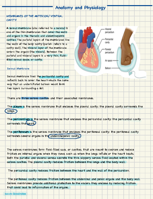 ICU Progress Notes for Acute Coronary Syndrome (ACS) - FDAR - Studocu