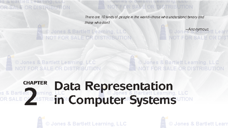 Data Representation in Computer Systems (CS101) - Chapter 2 Notes - Studocu
