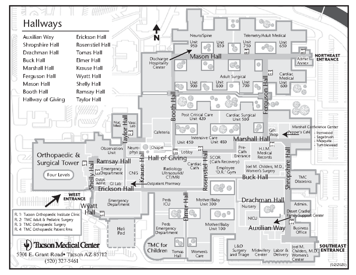TMC Hallways Overview and Emergency Department Layout - Studocu