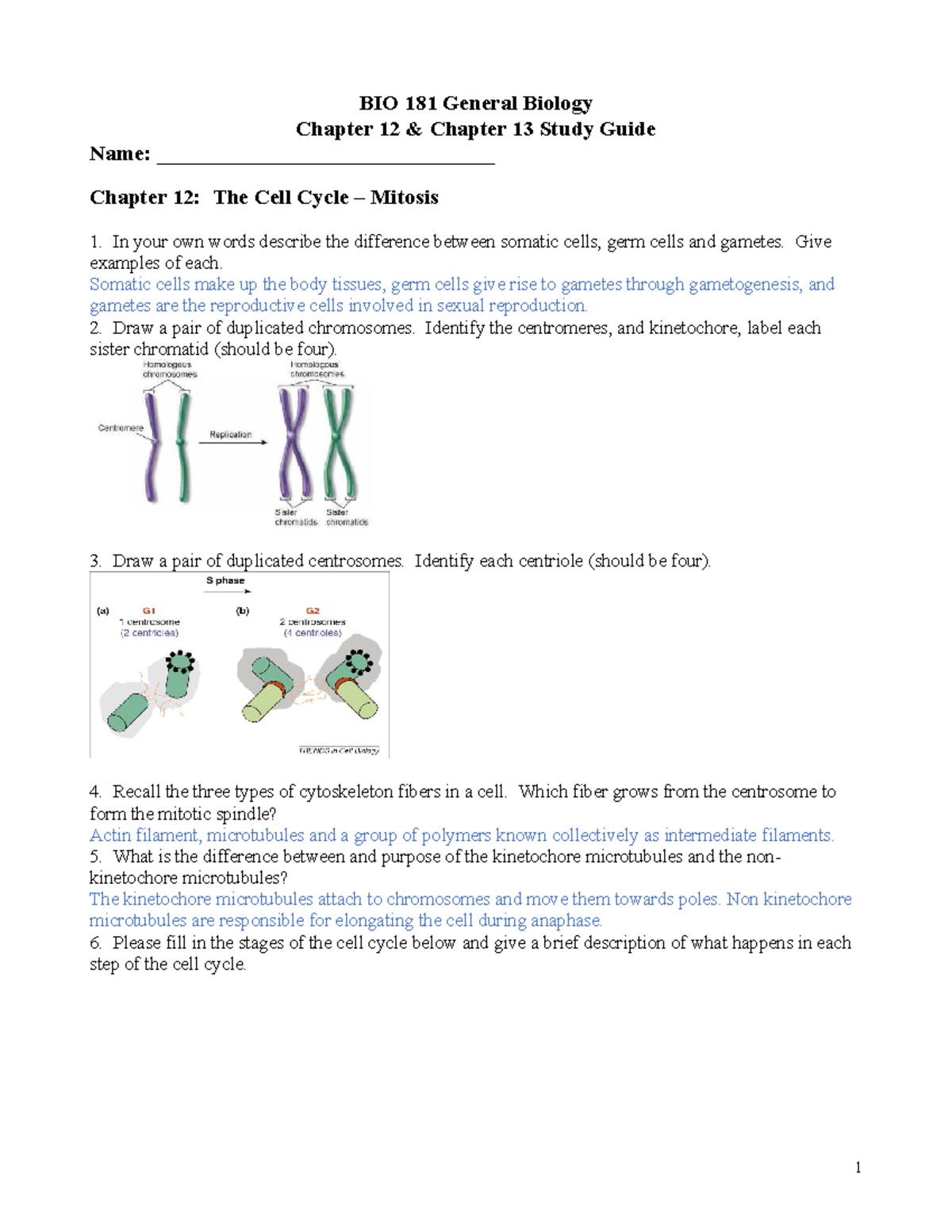 BIO 181 Ch 12 & 13 Study Guide - Cell Cycle & Meiosis Overview F23 ...