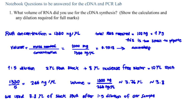 NB Questions on PCR cDNA Preparation and RNA Concentration - Studocu
