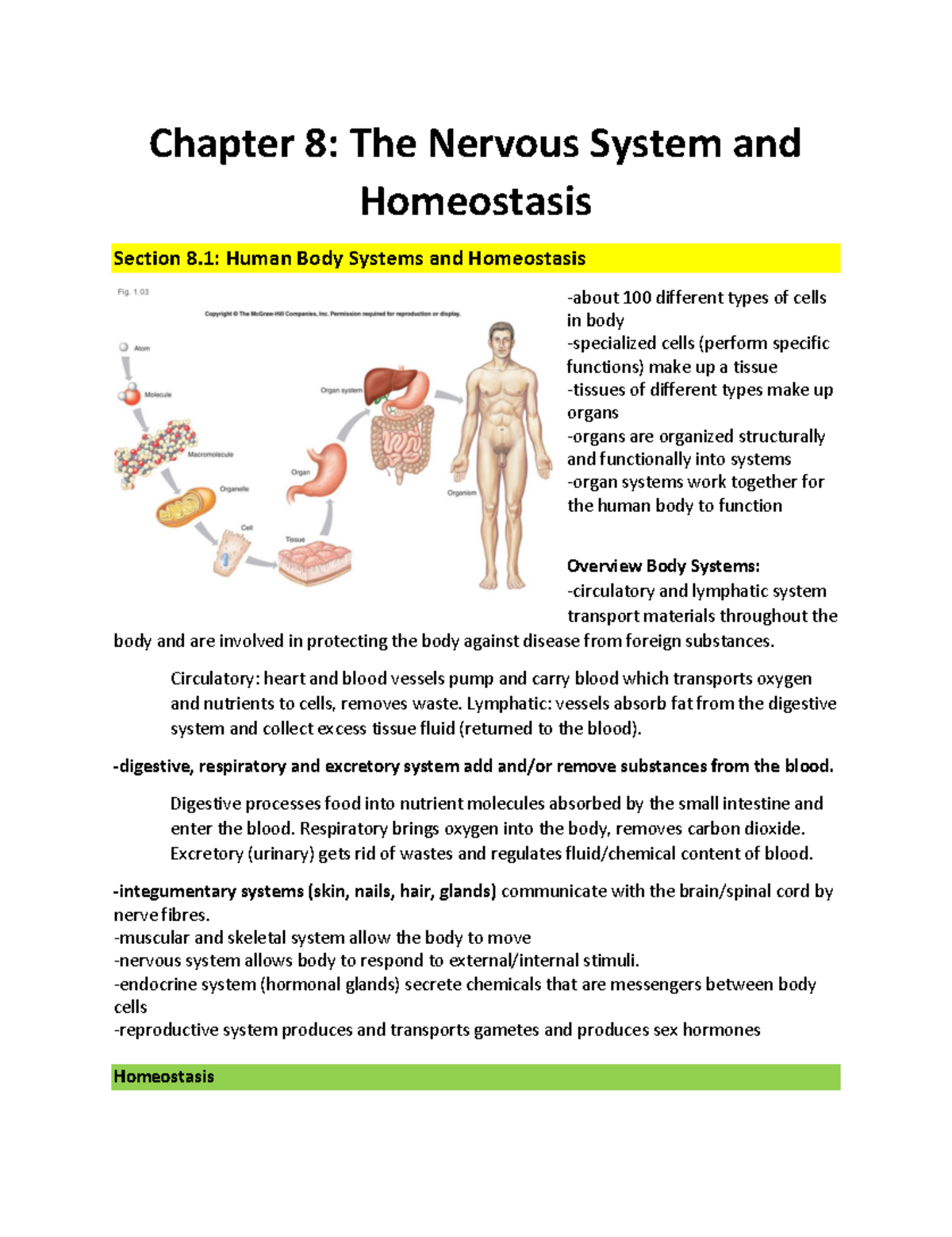 Chapter 8.1: Human Body Systems & Homeostasis Overview - Studocu
