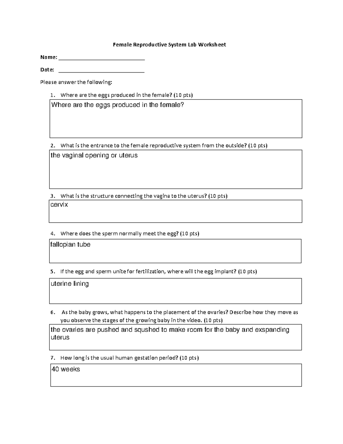 Female Reproductive System Lab Worksheet (BIO101) - Studocu