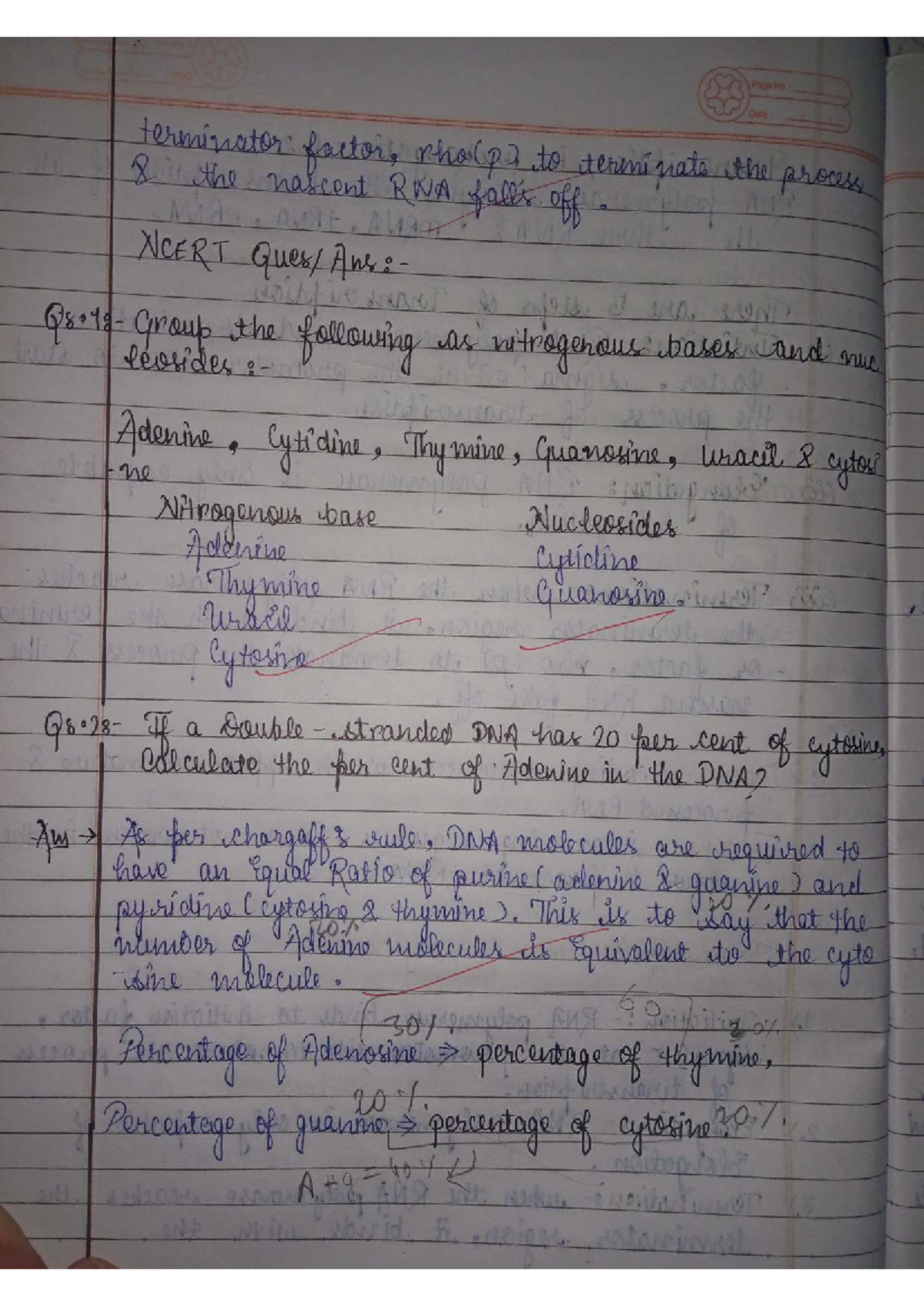 Molecular Inheritance Q&A: Key Concepts and Calculations - Studocu