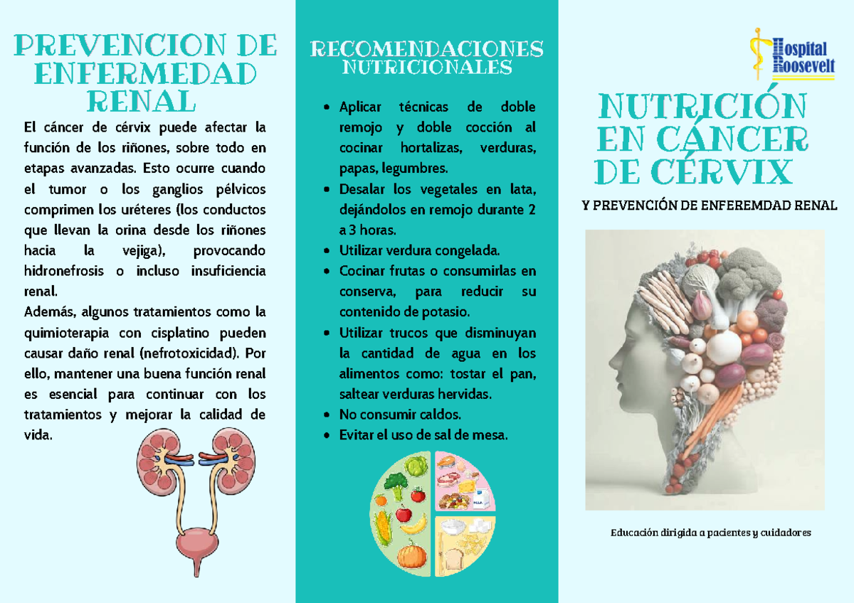 Prevención de Enfermedad Renal en Cáncer de Cérvix: Guía Nutricional ...