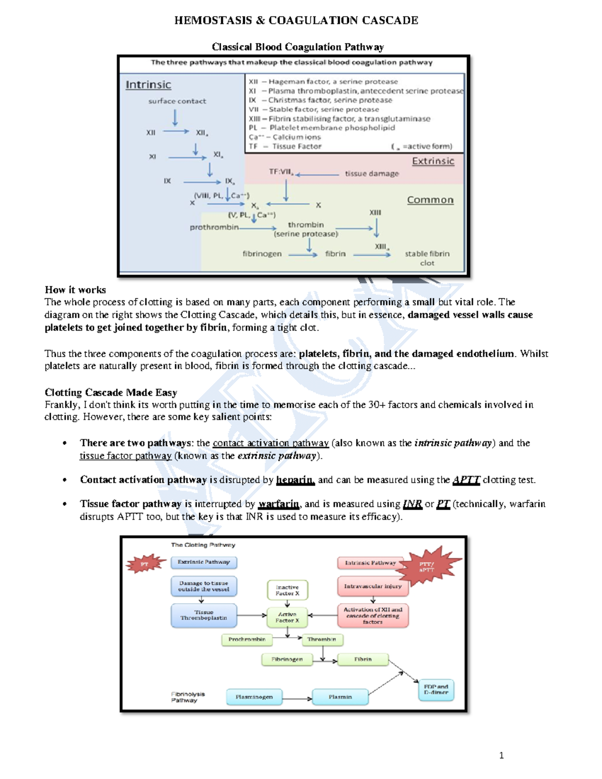 HEMOSTASIS COAGULATION CASCADE: Understanding the Clotting Process ...