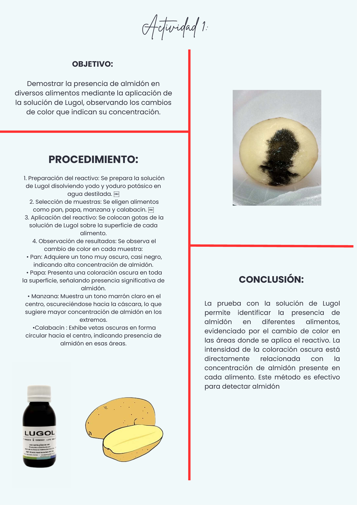 Actividad 1: Presencia de Almidón en Alimentos con Solución de Lugol ...