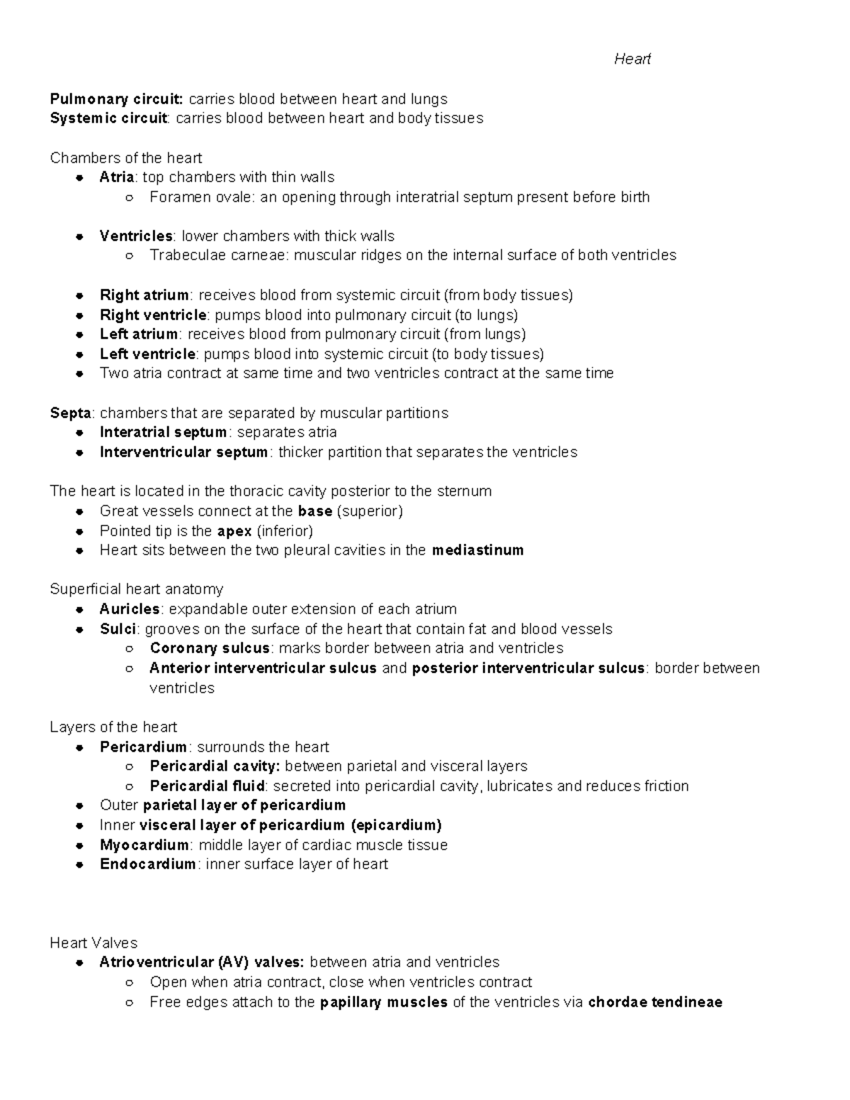 Heart Function & Anatomy Overview: Detailed Study on Circulatory ...