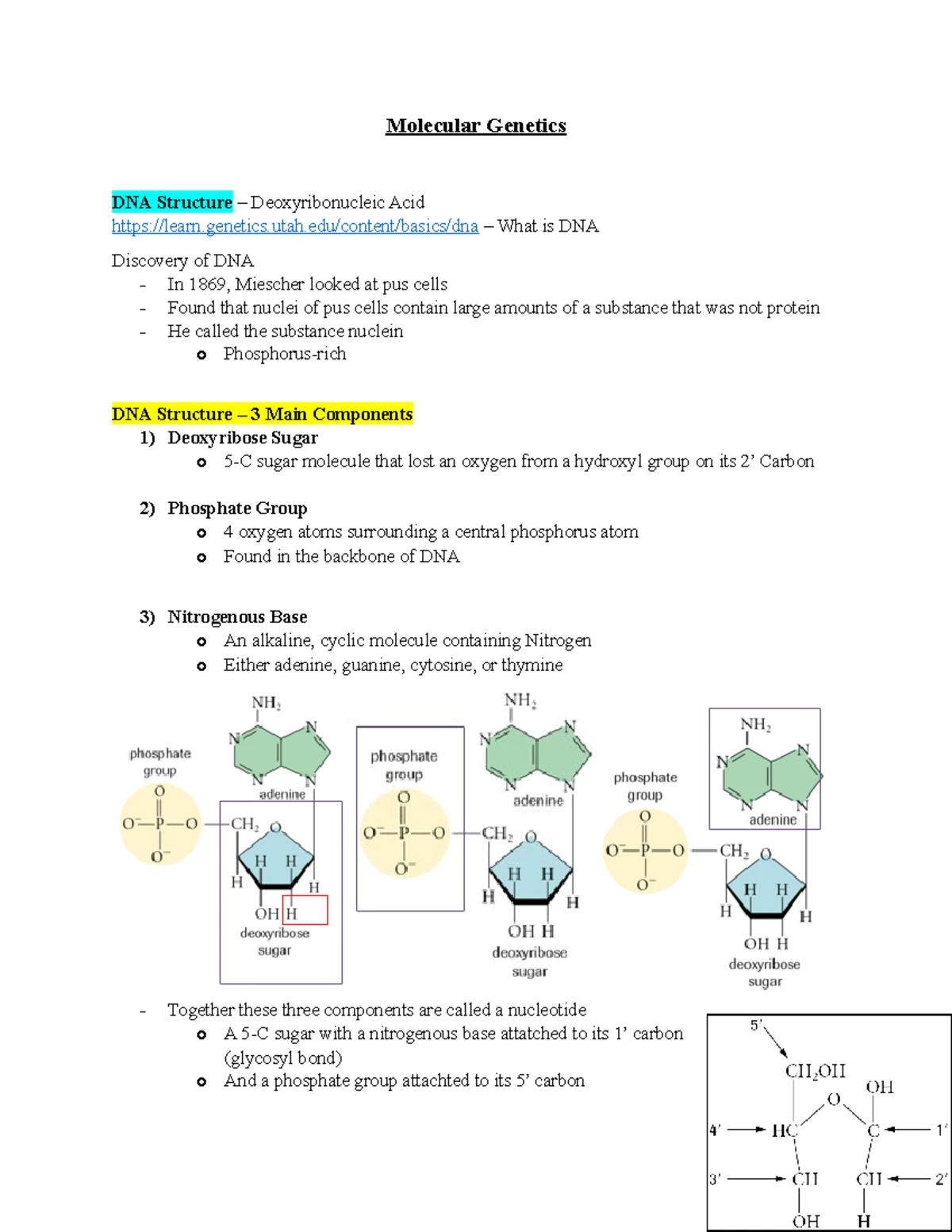 Igcsebio WB Ans - Answer Key for Cambridge IGCSE Biology Workbook - Studocu