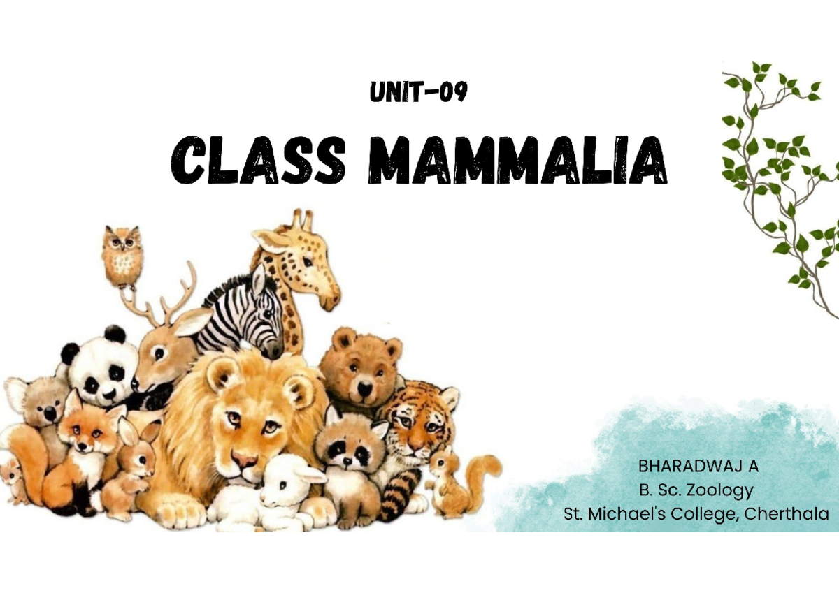 B. Sc. Zoology: Seminar on Order Dermoptera Characteristics - Studocu