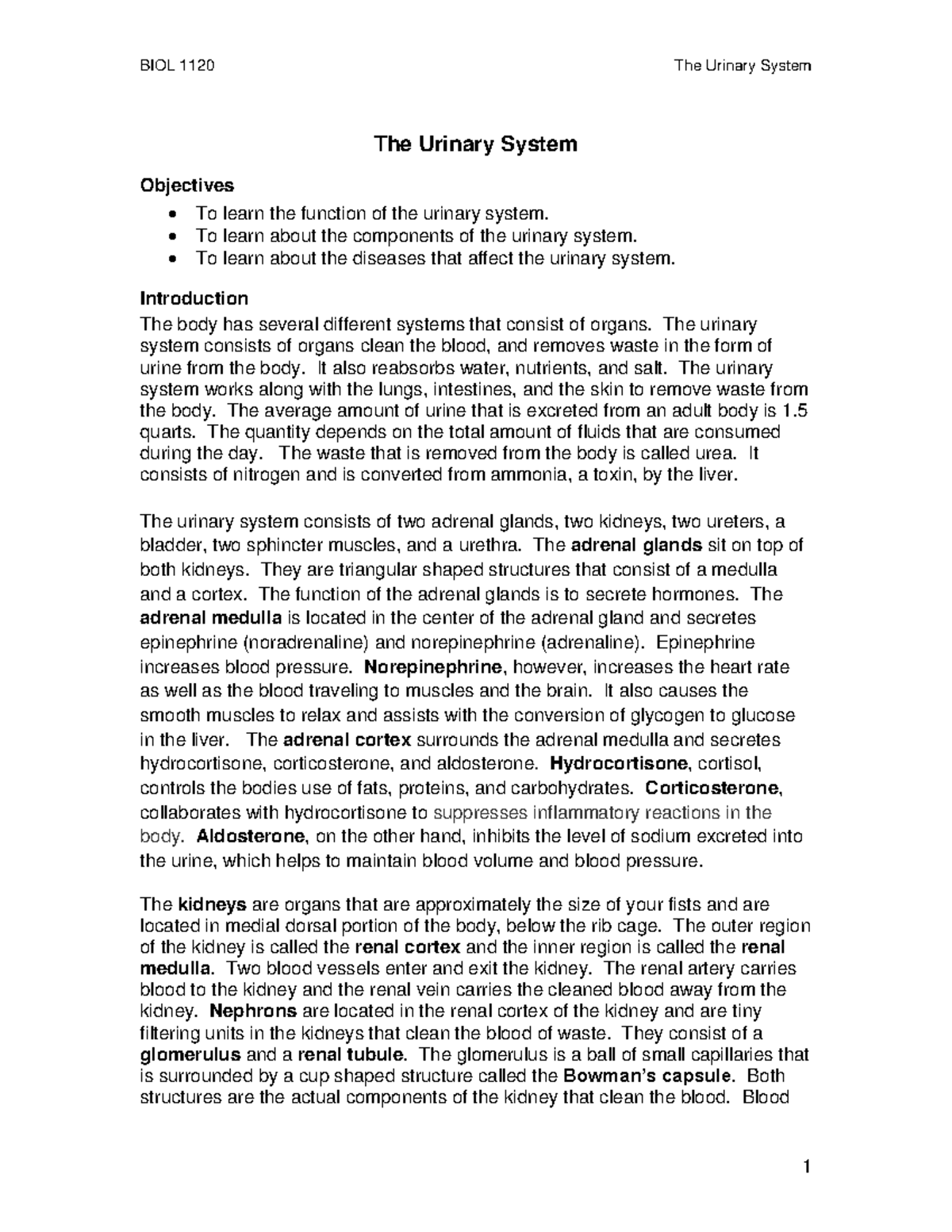 The Human Urinary System Overview - BIOL 1120 Lecture Notes - Studocu