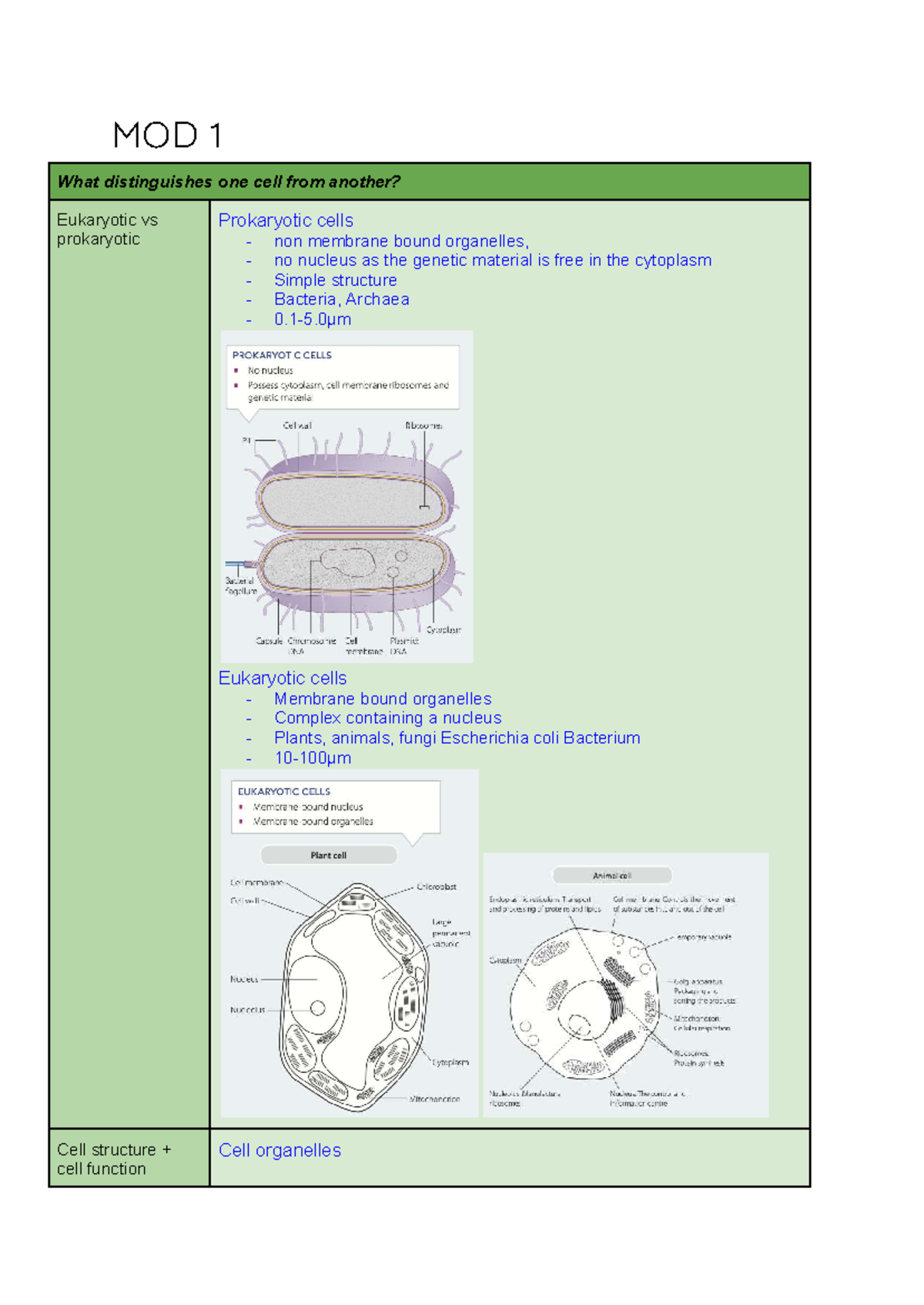 Module 1 Biology Notes: Eukaryotic vs Prokaryotic Cells & Transport ...