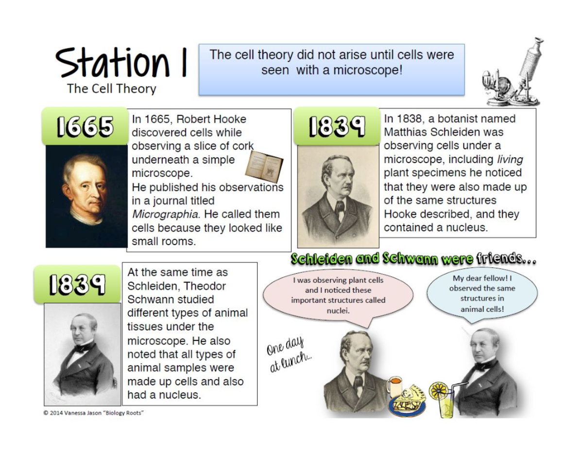 Cells Exhibition: Interactive Learning Stations and Cards (BIO 101 ...
