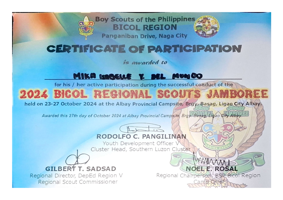 Boy Scout Of The Philippines Certificate Of Recognition
