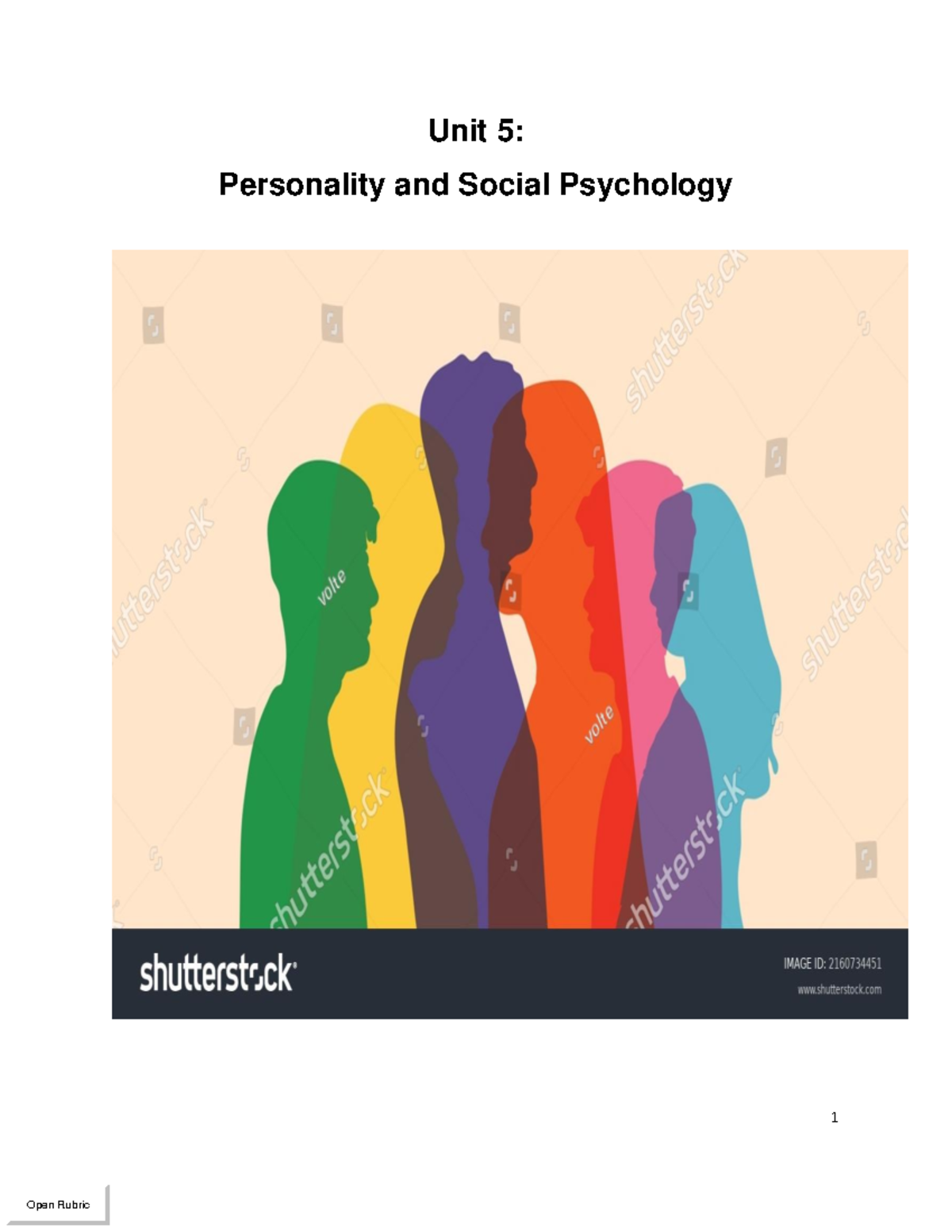 PYC1512 Unit 5: Understanding Personality & Social Psychology in Africa ...