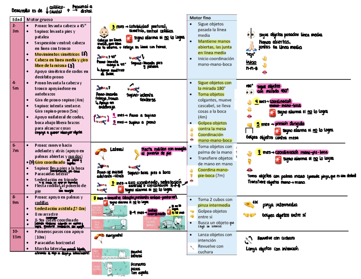 Desarrollo Psicomotor en Niños de 0 a 2 Años: Evaluación y Progreso ...
