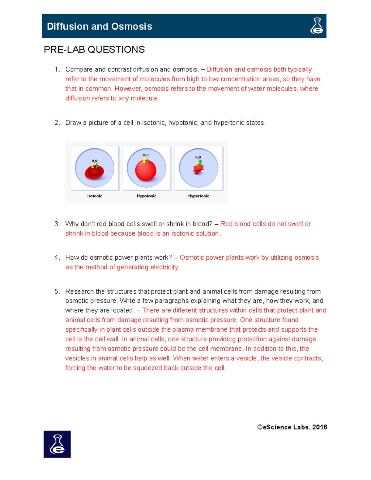 Diffusion & Osmosis Lab - PRE-LAB QUESTIONS 1. Compare and contrast ...