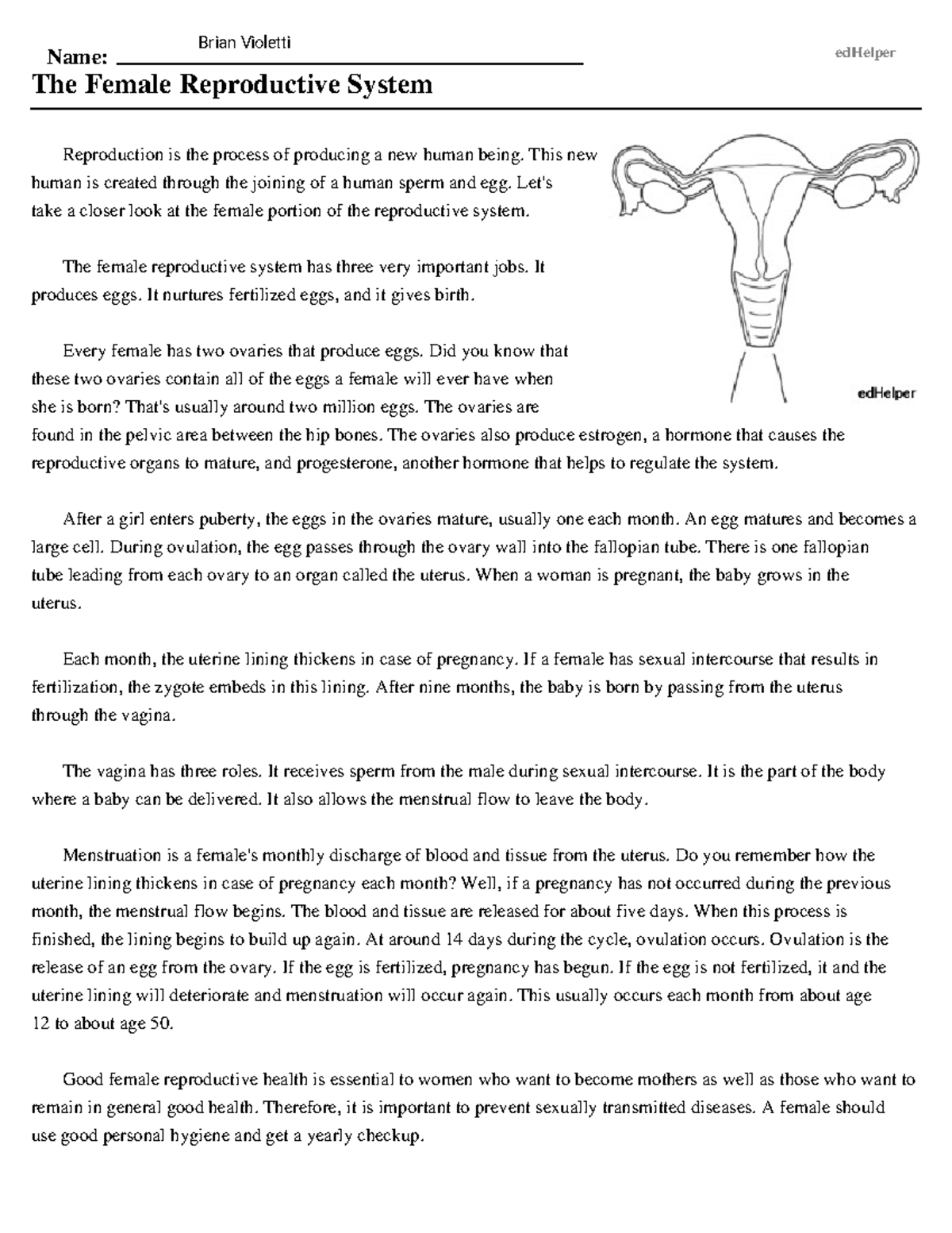 Exam Notes - Female Reproductive System Overview (BIOL 101) - Studocu