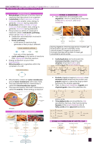 Biochemistry -RED Pacop - Pharmaceutical Biochemistry Isoelectric or pI ...