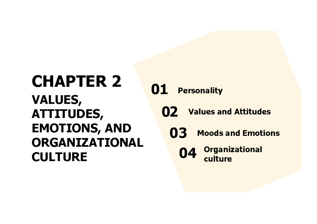 Chapter 2 - chap2 - CHAPTER 2 VALUES, ATTITUDES, EMOTIONS, AND ...
