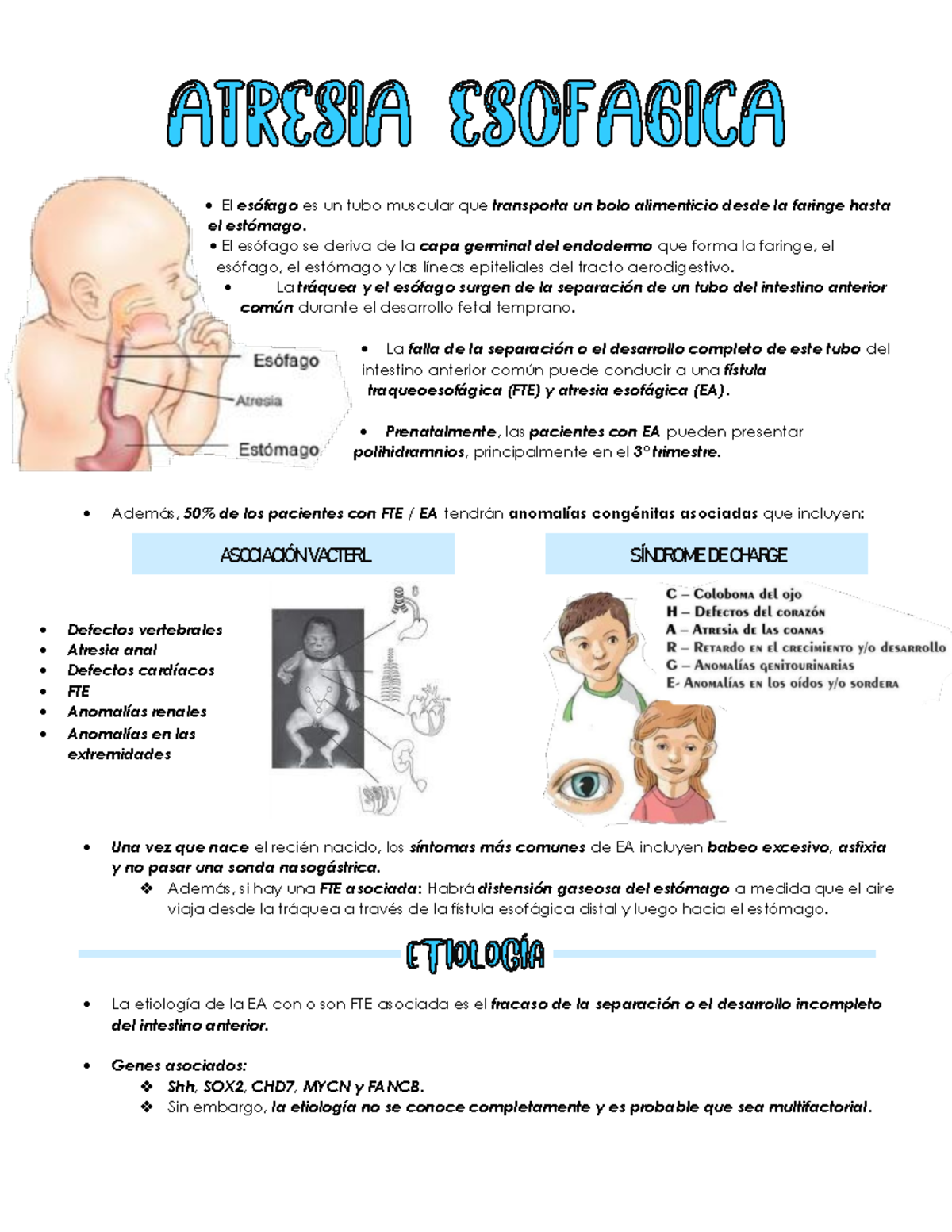 Atresia Esofágica: Desarrollo, Diagnóstico y Tratamiento Clínico - Studocu
