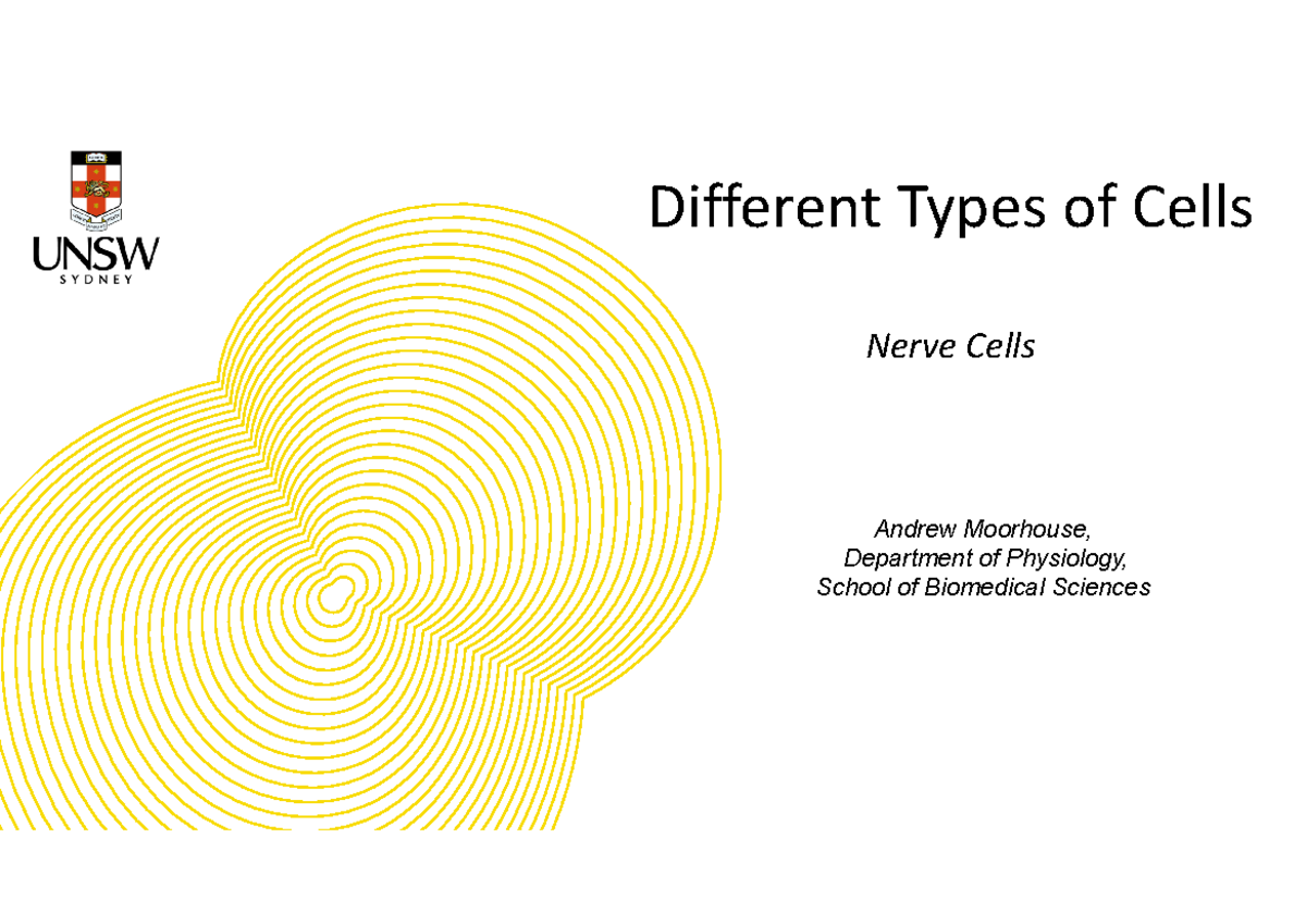 Lecture 1 ppt slides combined - Different Types of Cells Nerve Cells ...