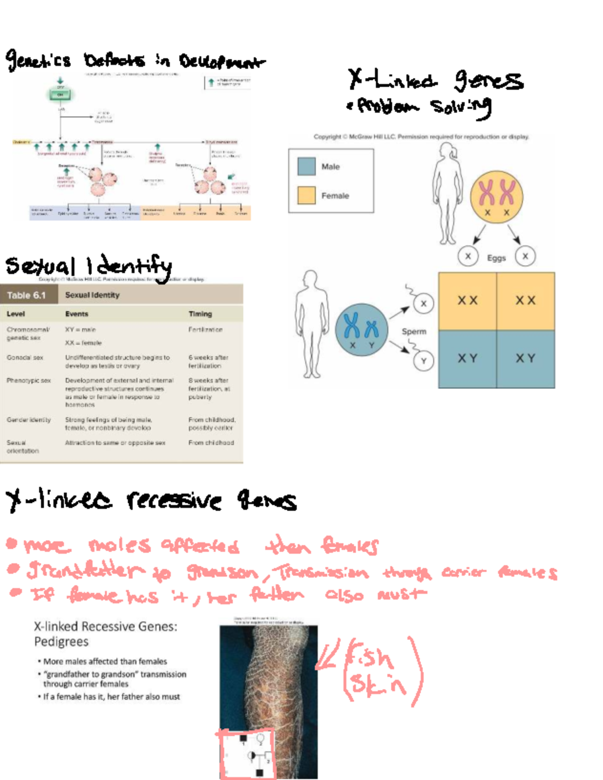 Genetics Defects in Development: Overview and Summary [Insert Course ...