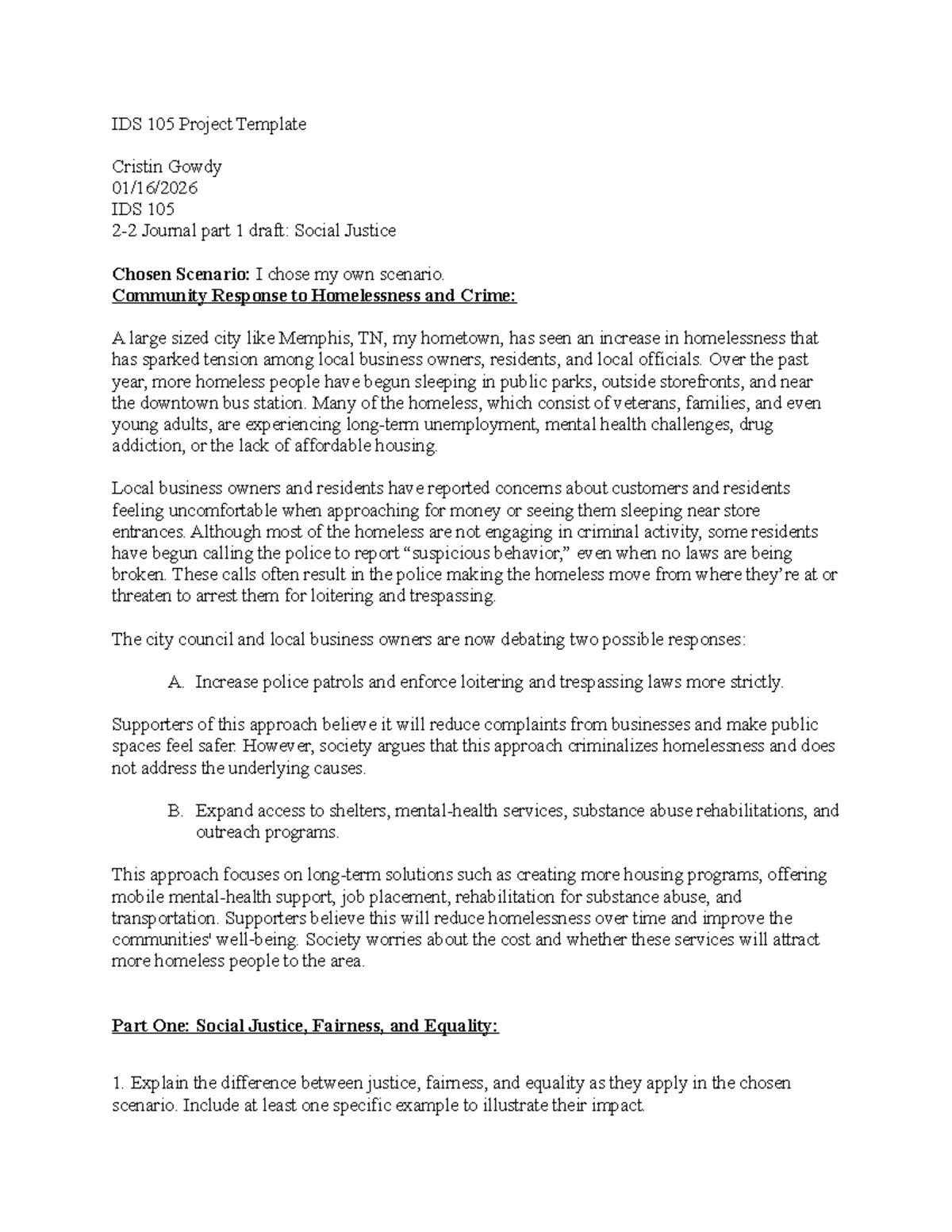 IDS 105 Project Template: Addressing Homelessness & Social Justice ...