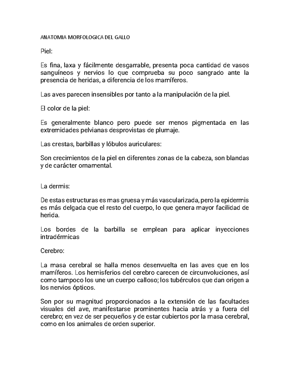 Anatomía Morfológica del Gallo: Estructuras y Funciones Esenciales ...