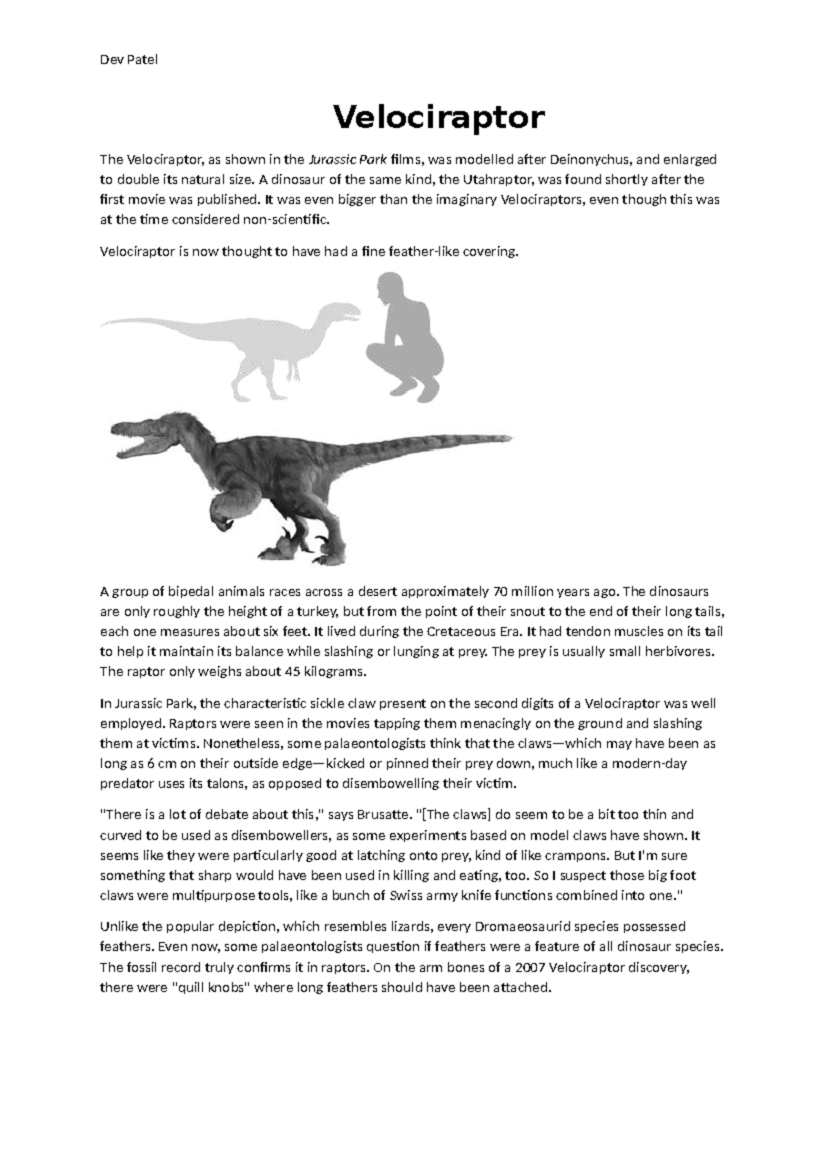 Velociraptor Insights - FHh - Studocu