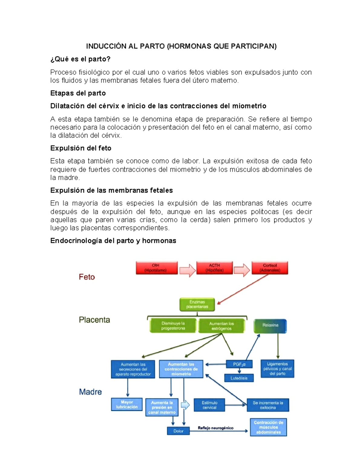 Inducción al Parto: Hormonas y Etapas del Proceso Fisiológico - Studocu
