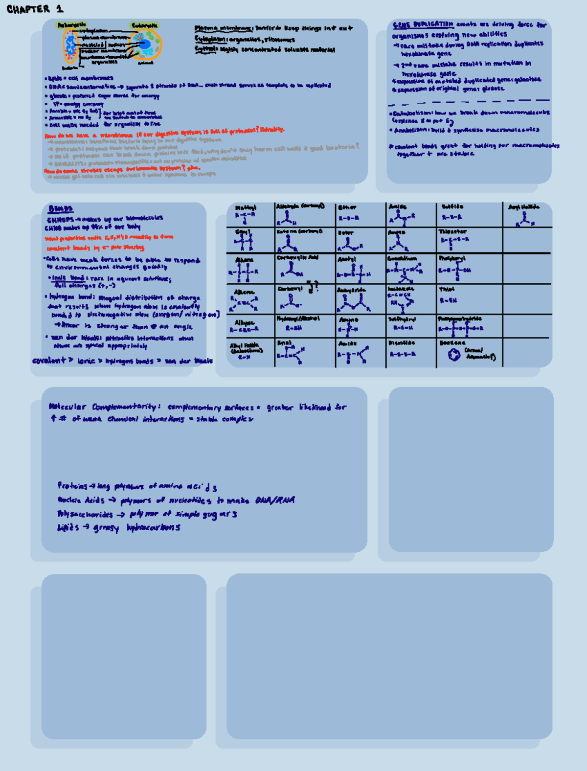 Biochemistry Essentials: Chapter 2, 3, and 4 Overview and Notes - anew ...