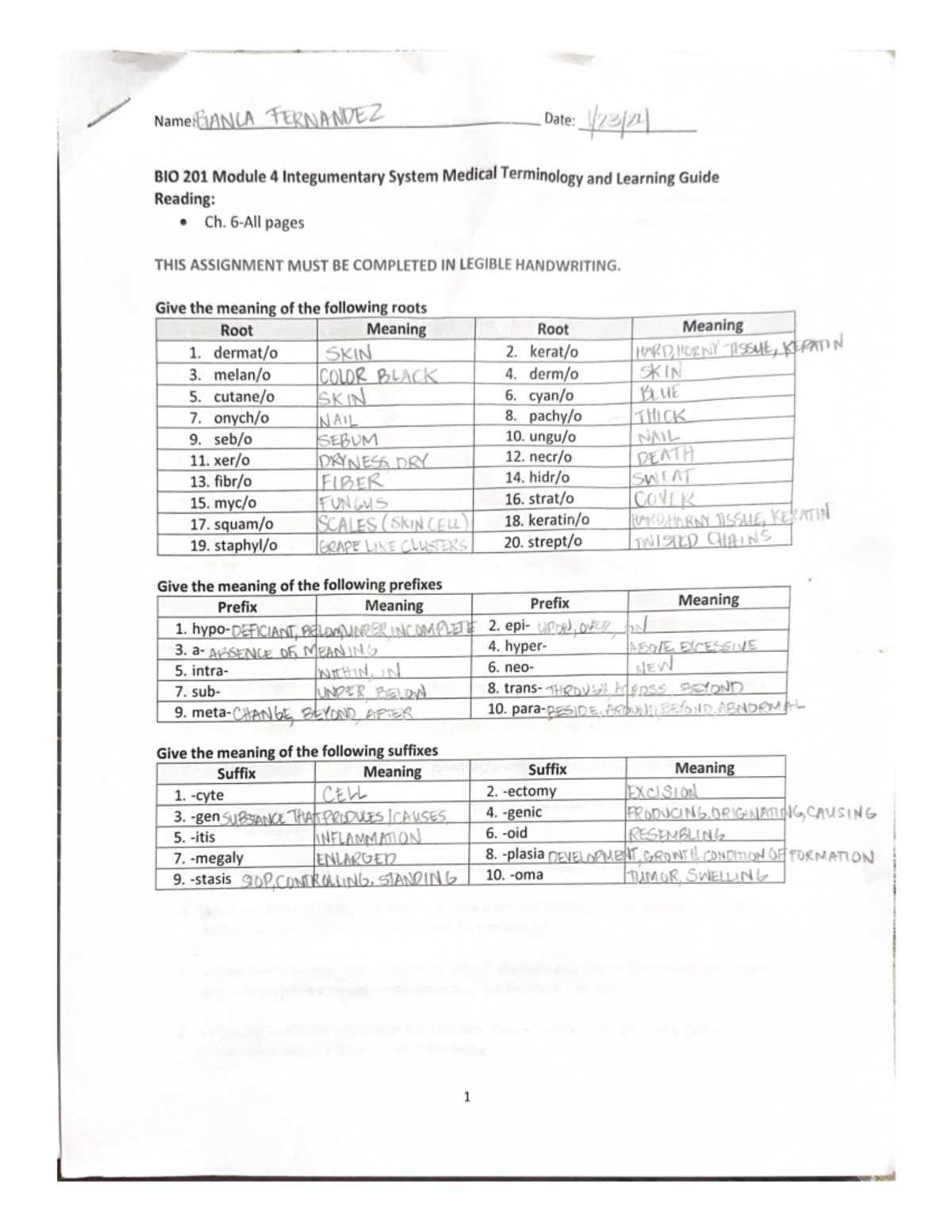 BIO 201 Module 4 Integumentary System Medical Terminology Guide - Studocu