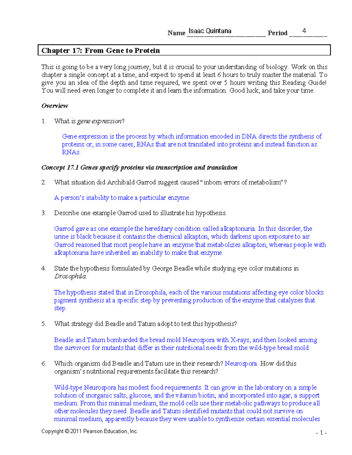 Ch 17 From Gene to Protein - Name _______________________ Period ...
