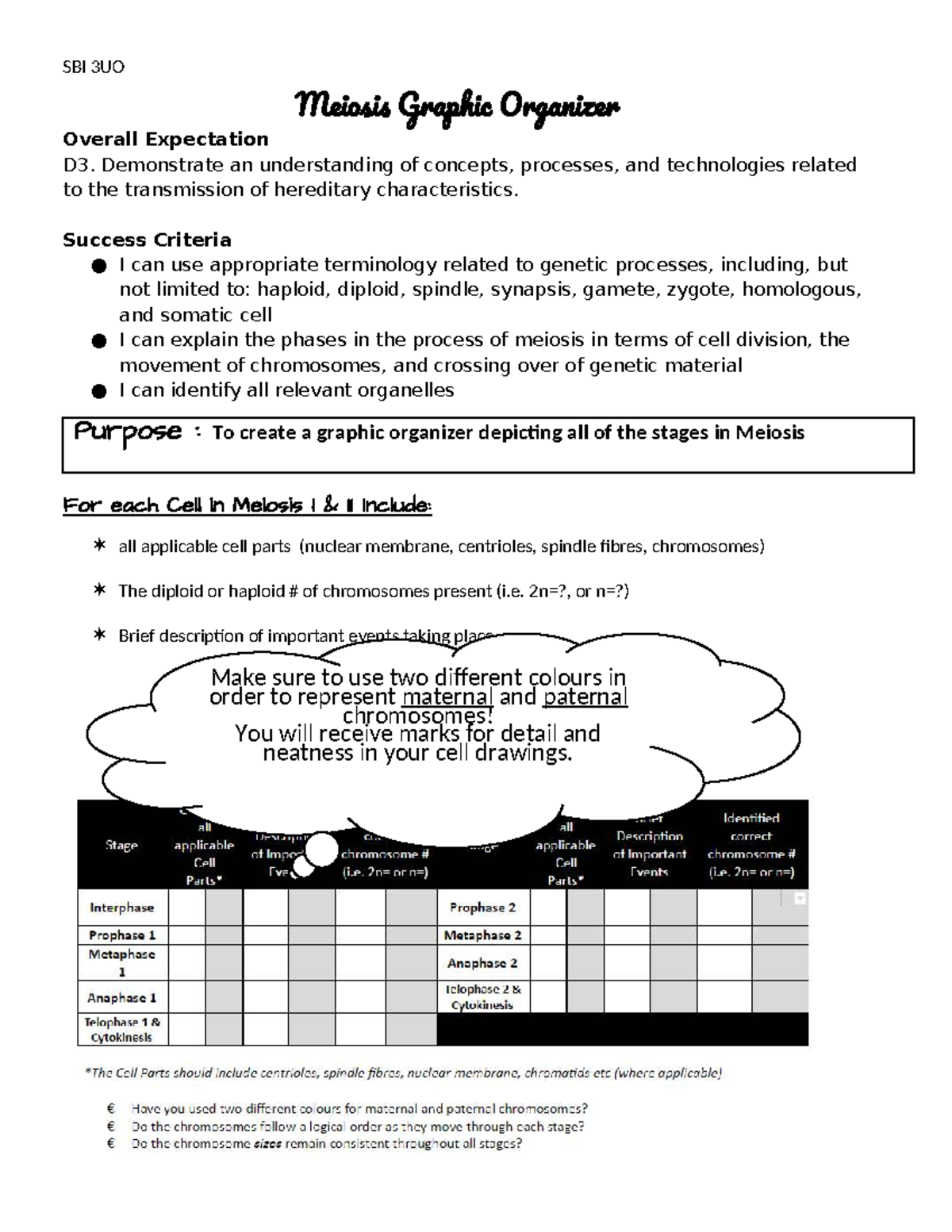 SBI 3UO Meiosis Graphic Organizer Instructions and Success Criteria ...