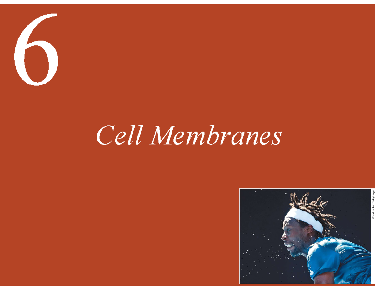 Chapter 6: Biological Membranes - Structure and Functions (BIO116) - Cell Membranes Learning ...